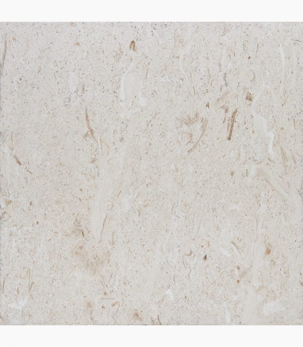 Shell Stone - Limestone Paver | Pavers & Installation | Gulfcoast ...