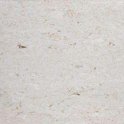 Shell Stone - Limestone Paver | Pavers & Installation | Gulfcoast ...